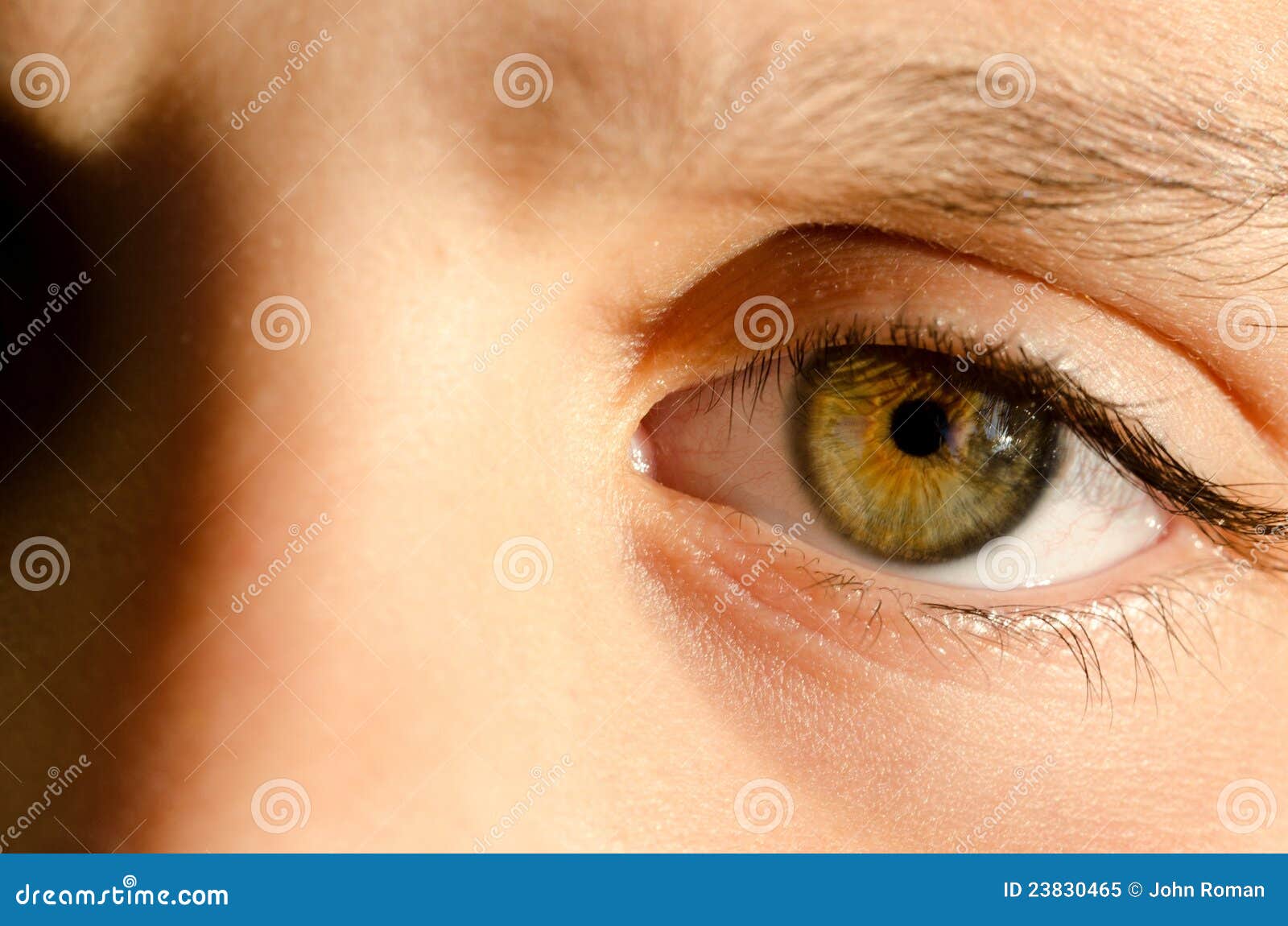 I m watching you. stock image. Image of marco, eyes, face - 23830465