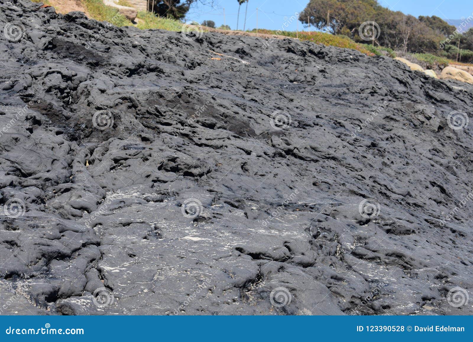 I Pozzi Di Catrame Di Carpinteria California, 12 Fotografia Stock ...