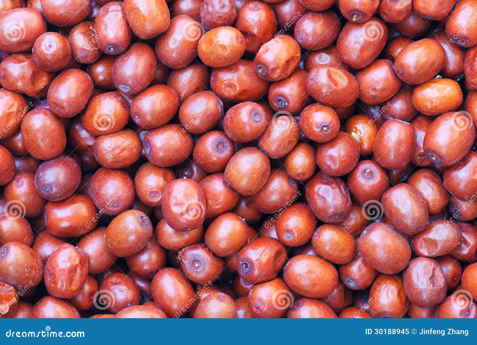 Giuggiole selvagge immagine stock. Immagine di chiusura - 30188945