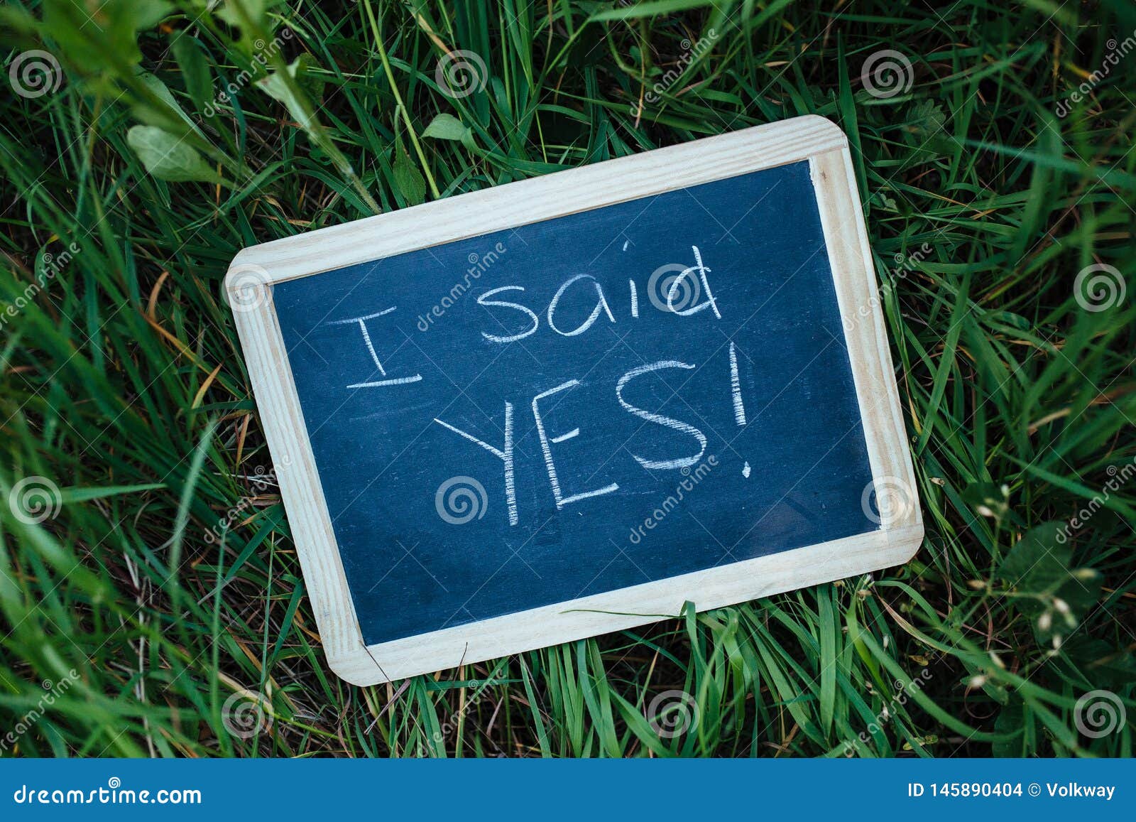 I Said Yes. Picture of a Board on a Grass Stock Photo - Image of ...