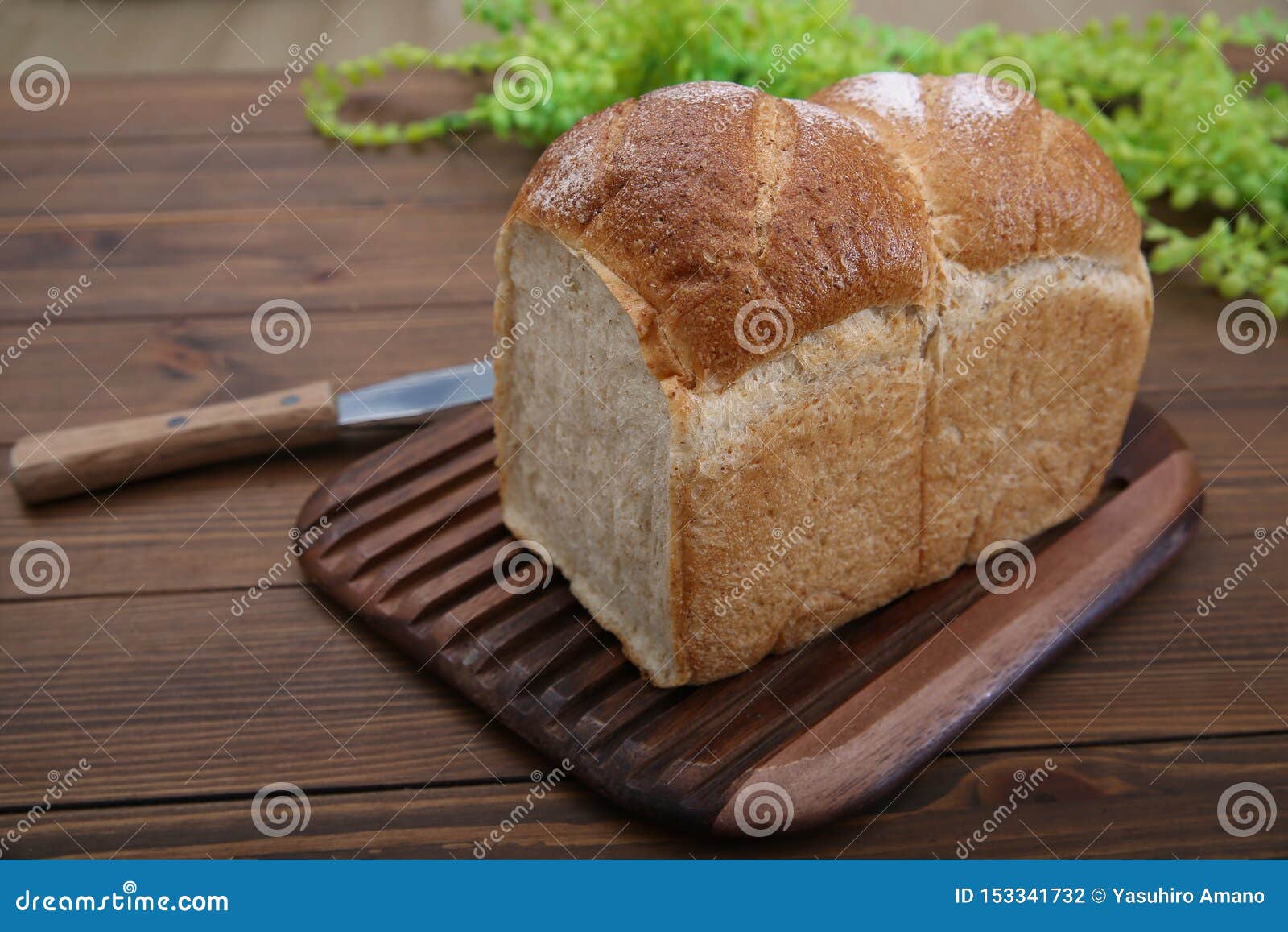 The Bread Which I Baked with a Big Rectangular Box-shaped Model Stock ...