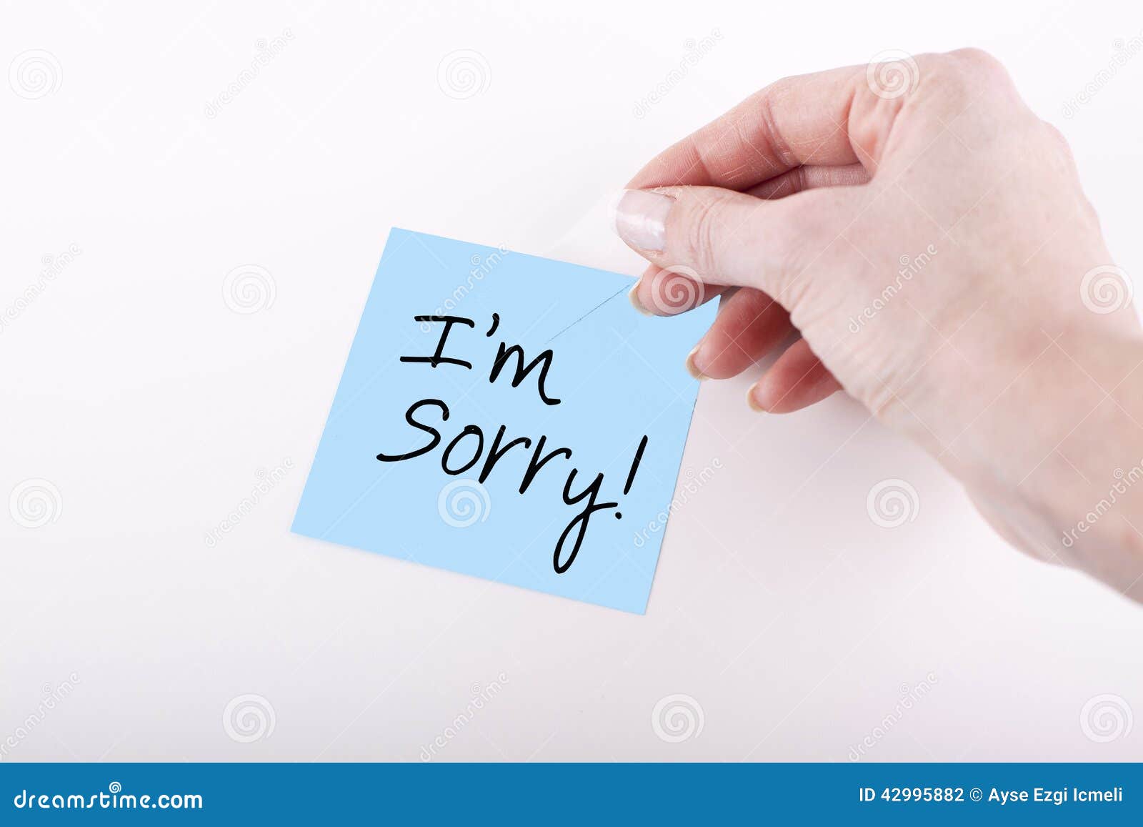 I am Sorry Phrase Note Paper Stock Photo - Image of message ...
