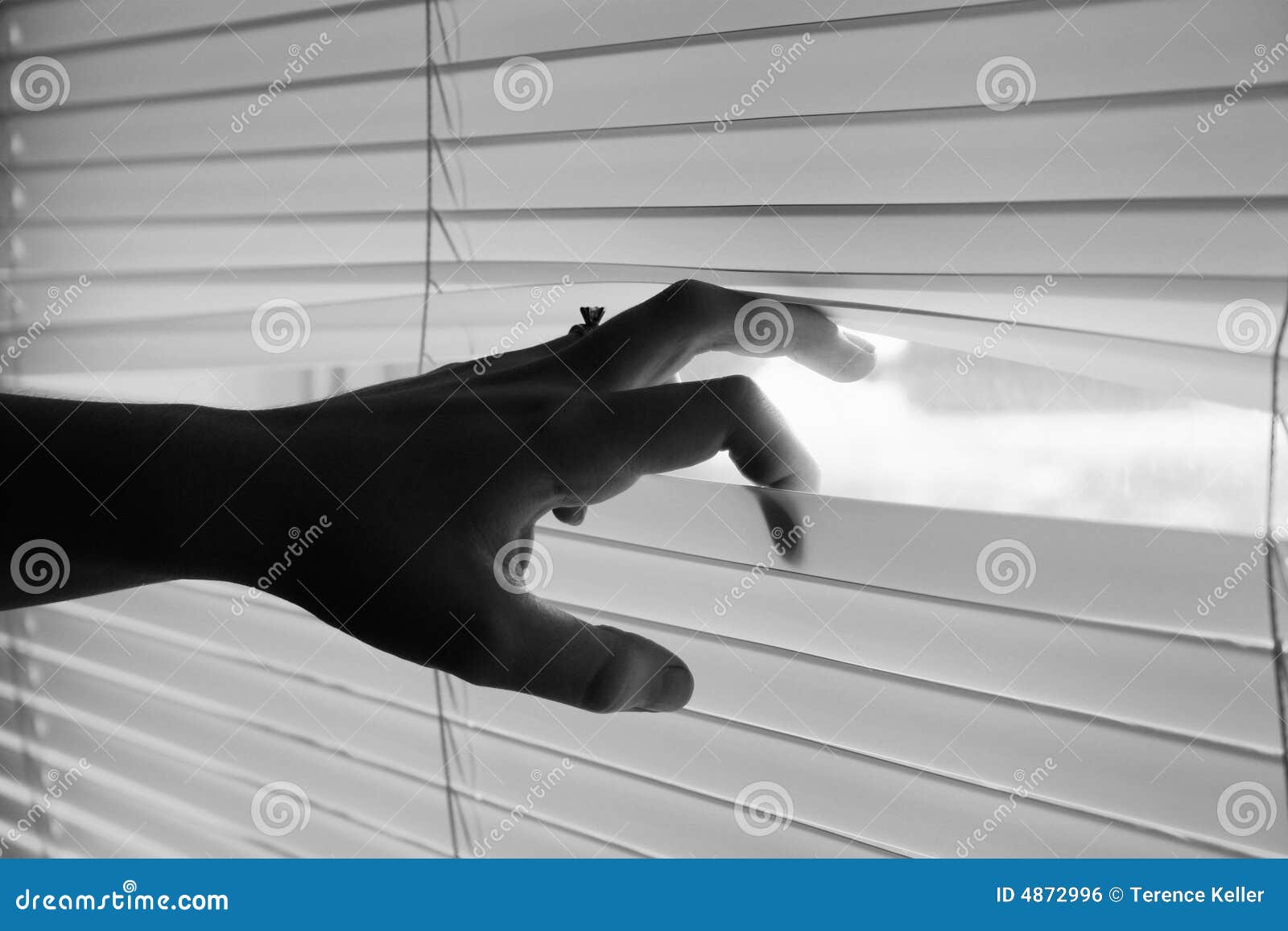 I Spy stock photo. Image of watching, hand, ring, alone - 4872996