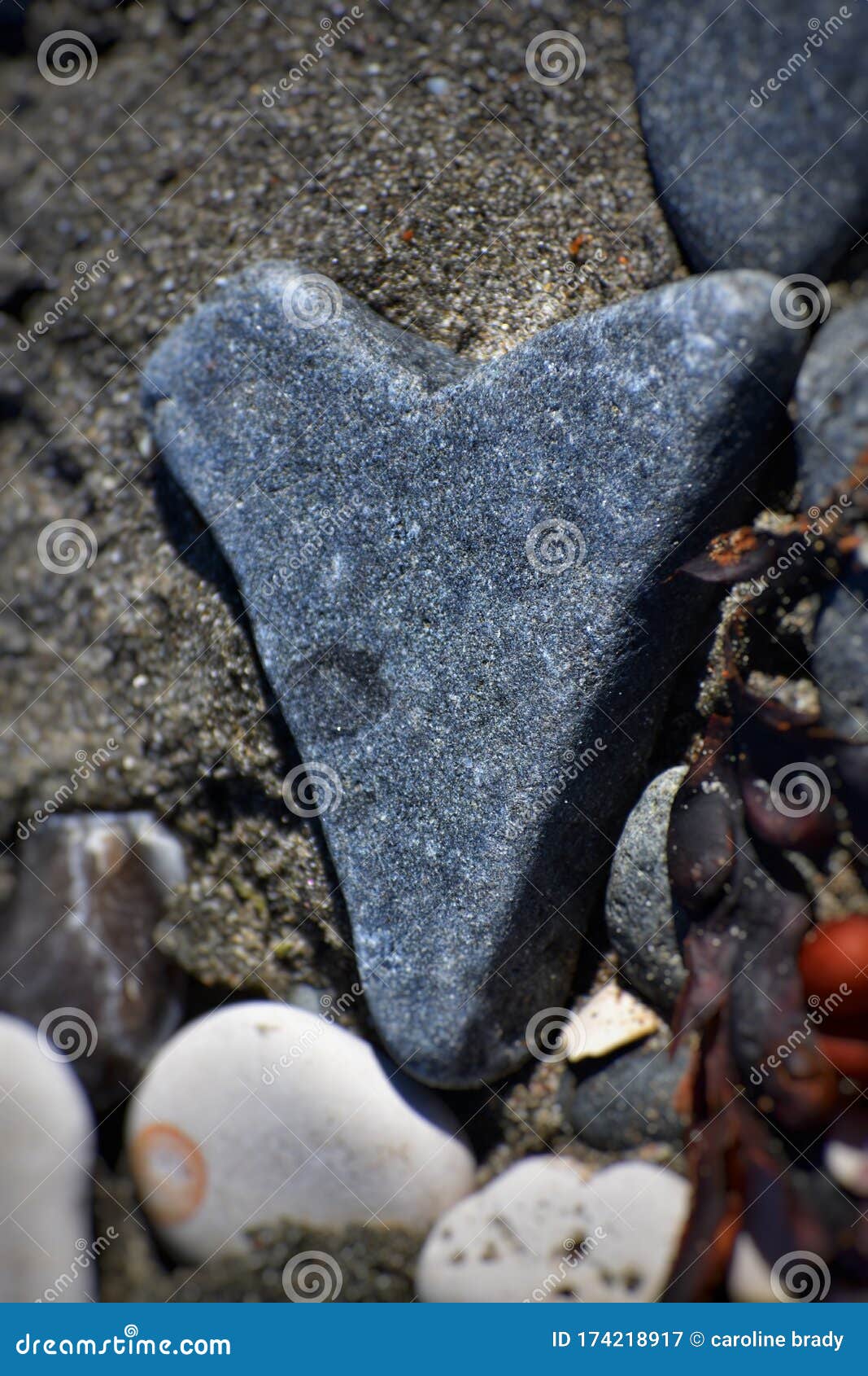 Stonely Stock Photos - Free & Royalty-Free Stock Photos from Dreamstime