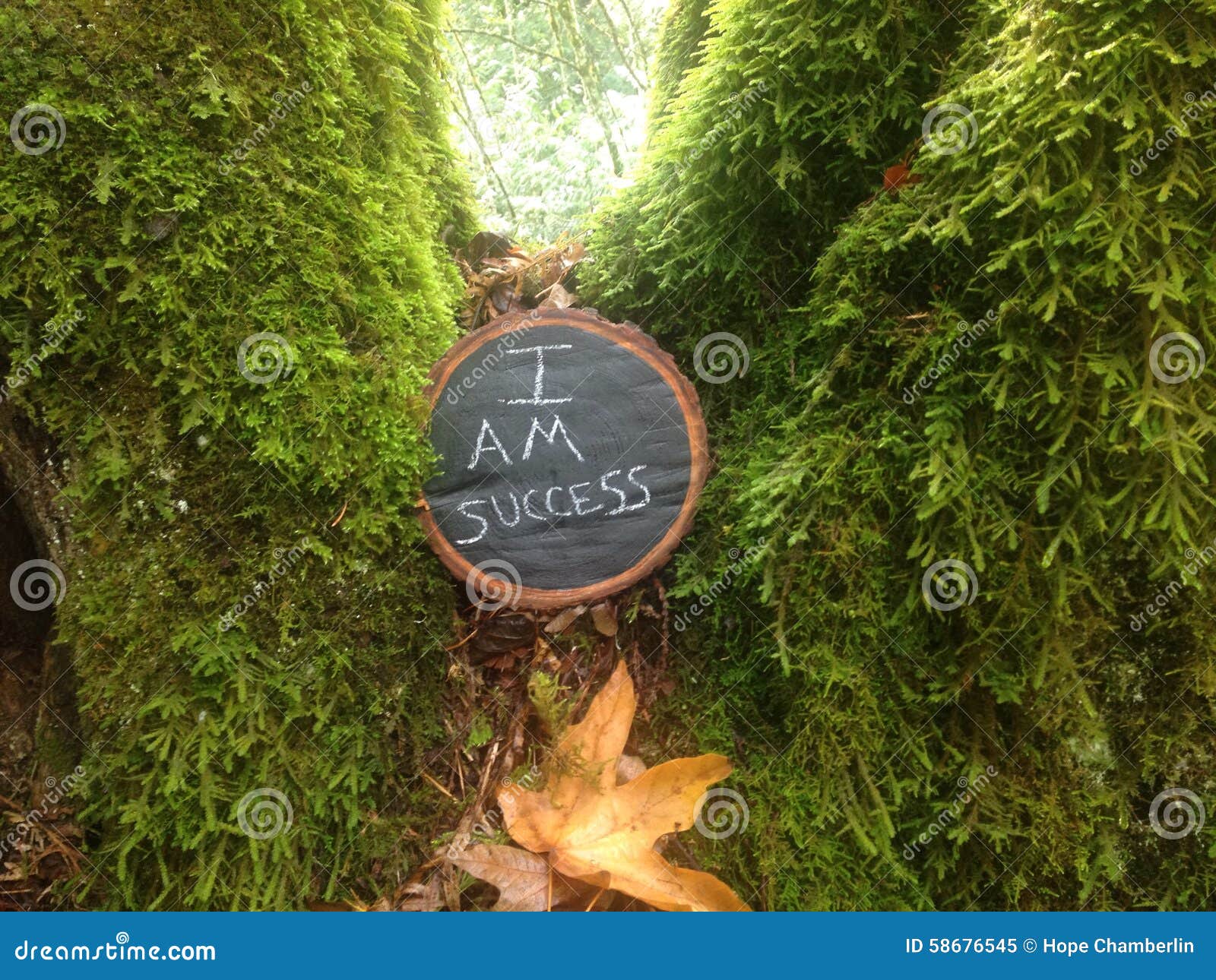I am success affirmation stock image. Image of success - 58676545