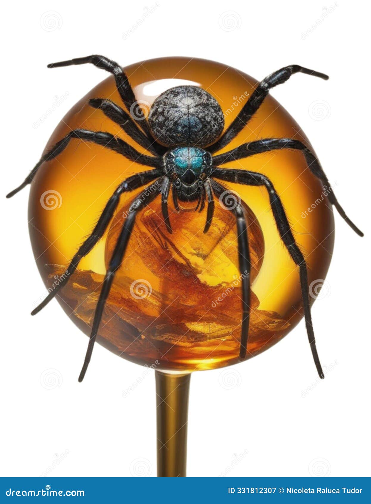 Surreal Art with Trapped Spider in an Amber Piece on a White Background ...