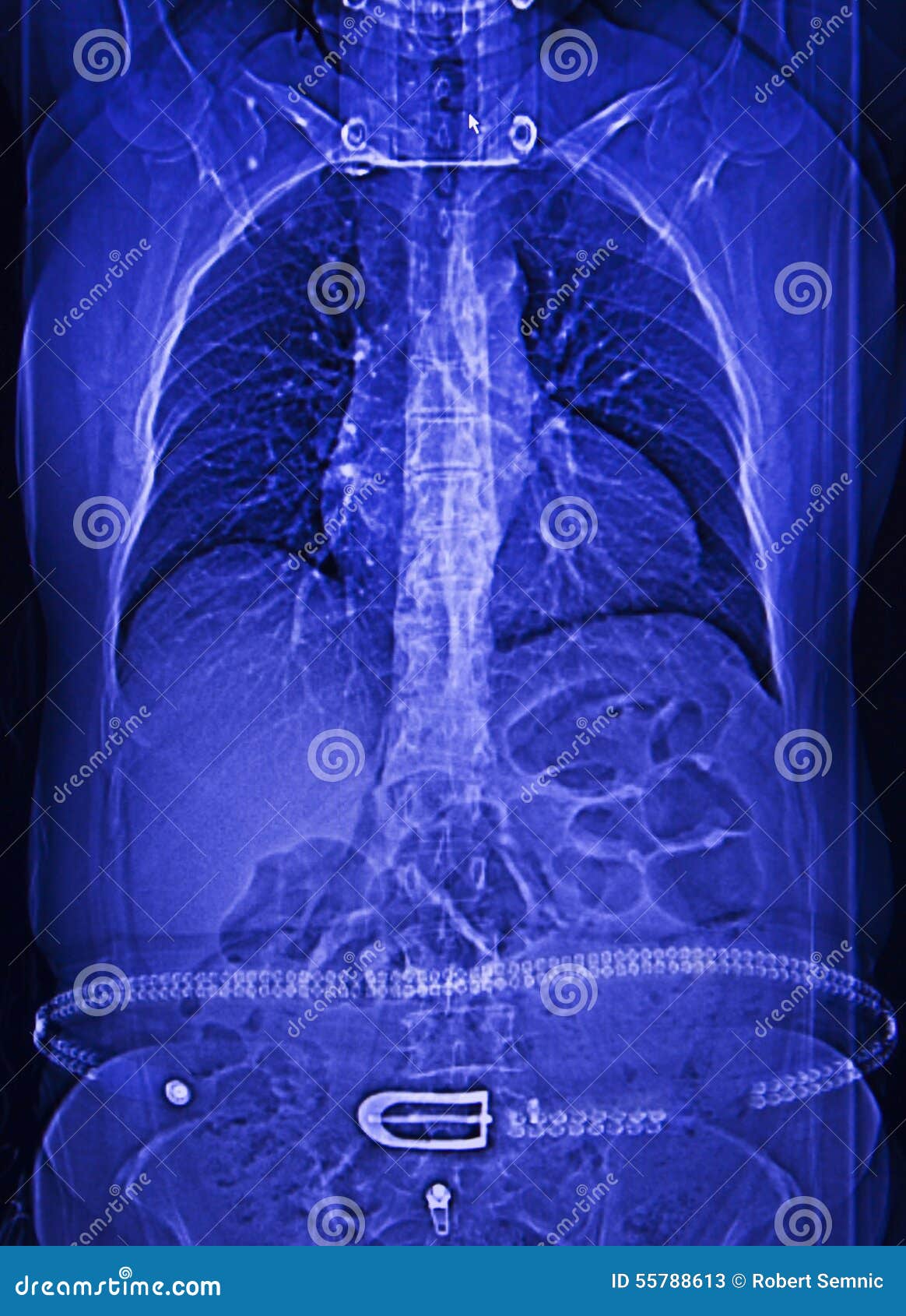 Colored Art stock image. Image of belly, stand, fasten - 55788613