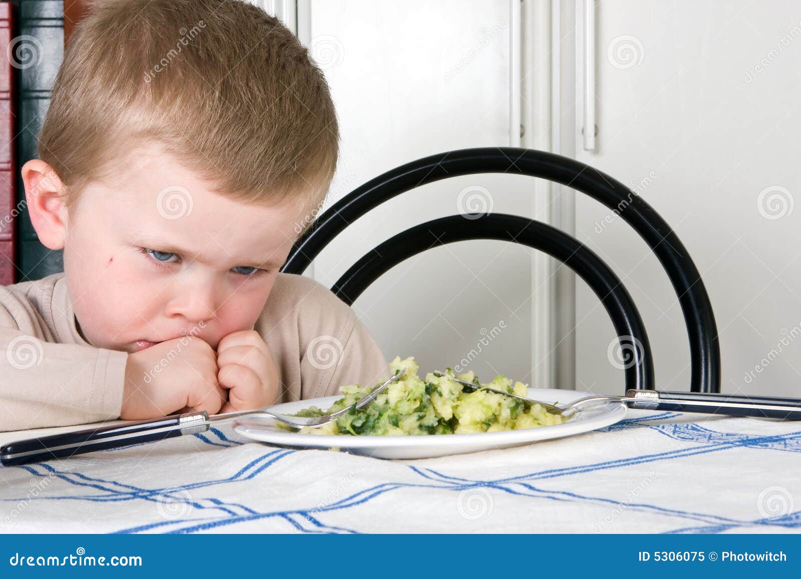 I will not eat stock image. Image of healthy, dinner, food - 5306075