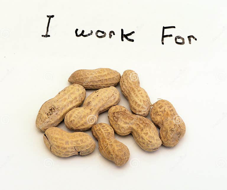 I work for Peanuts stock image. Image of labor, peanuts - 469317