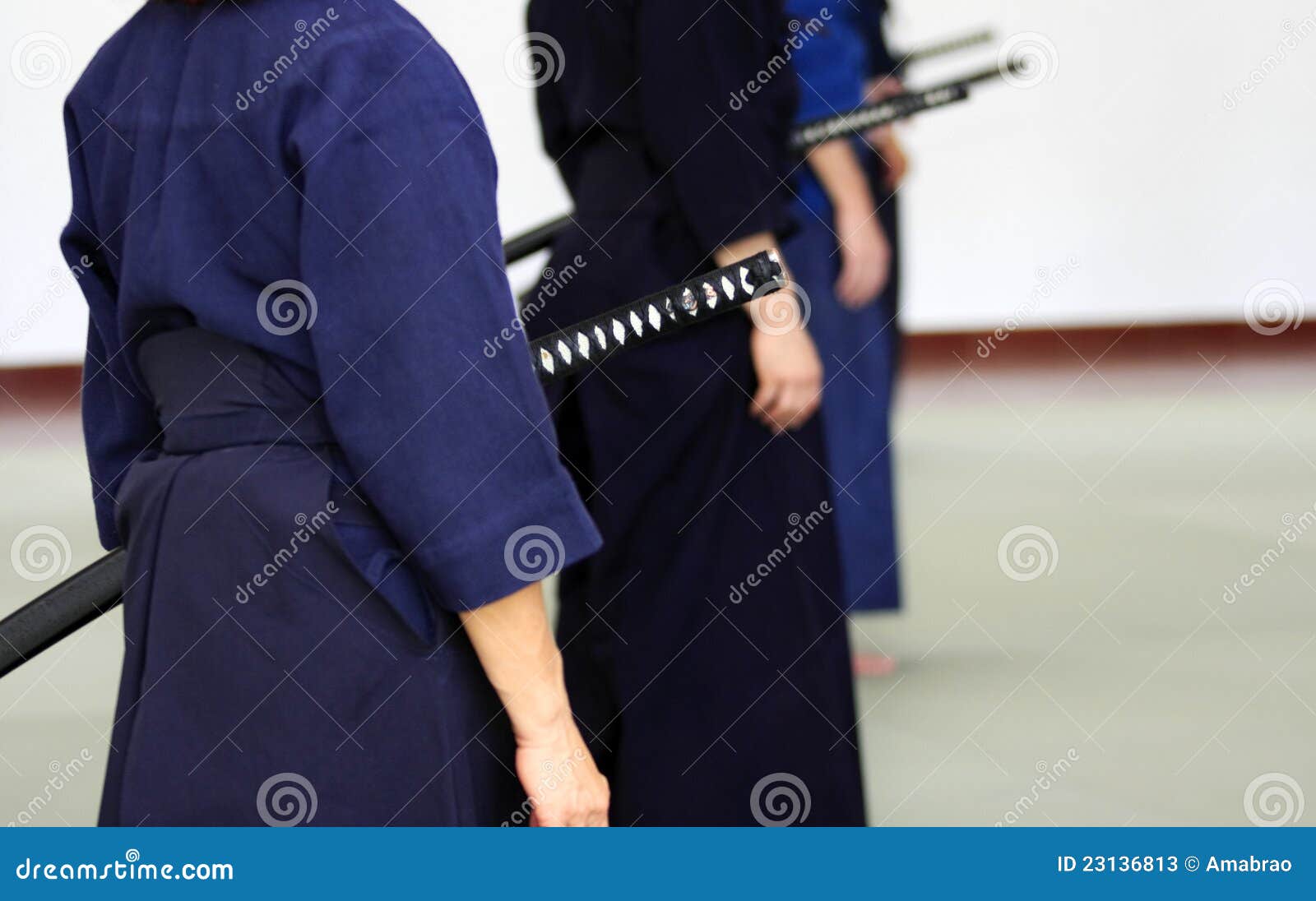 Iaido practice stock image. Image of karate, fight, cold - 23136813