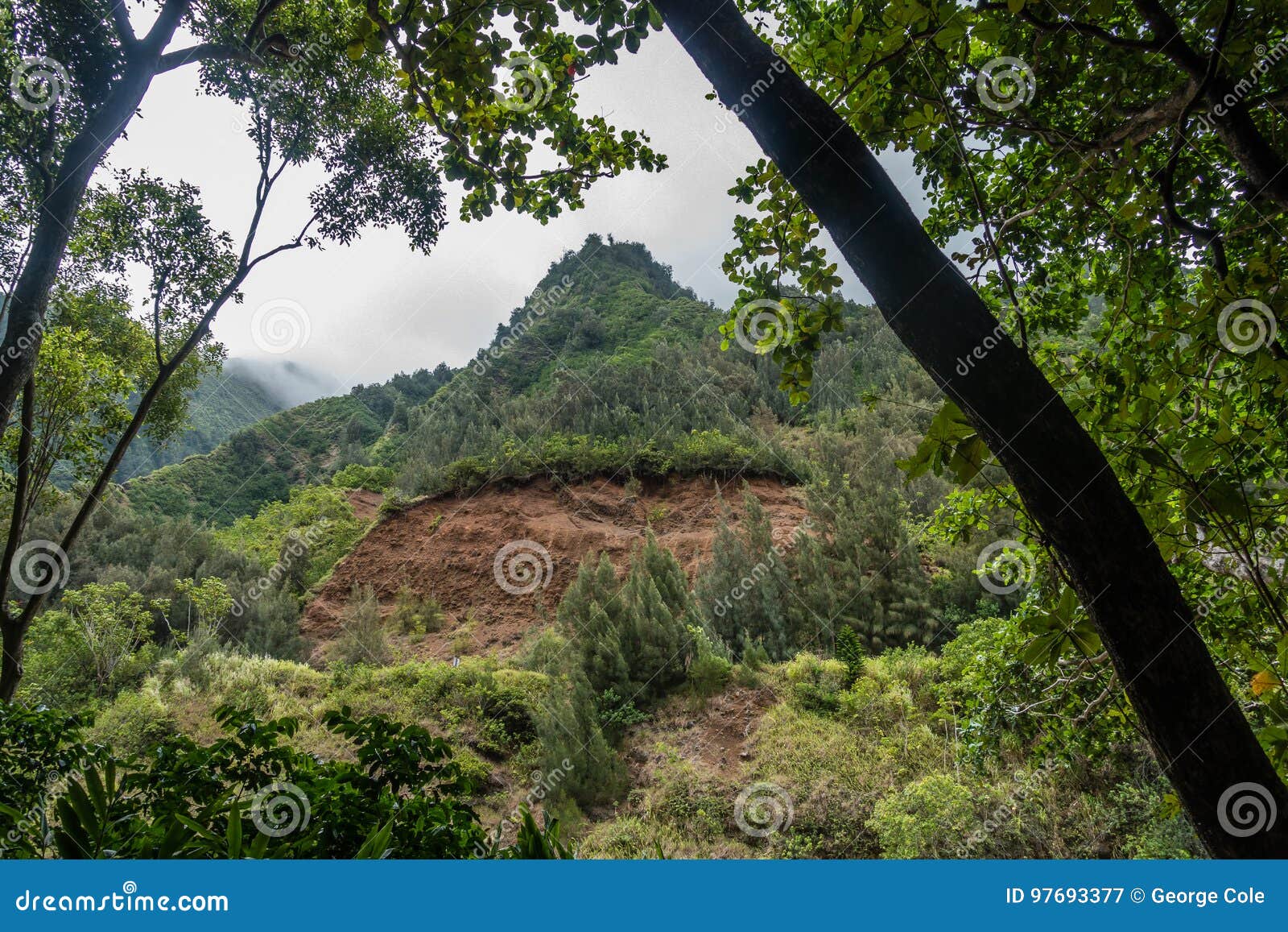 Iao Needle from Below 2 stock image. Image of outdoors - 97693377