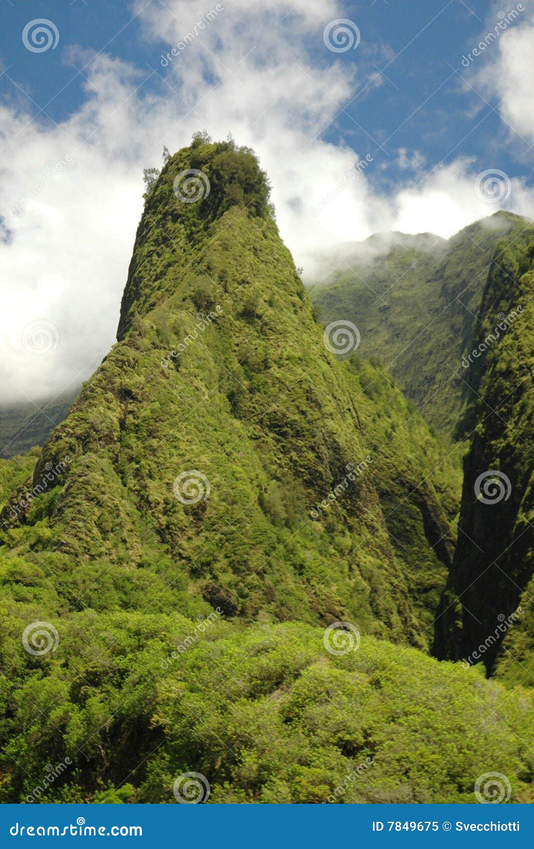 Iao Needle, Maui stock image. Image of lush, landscape - 7849675