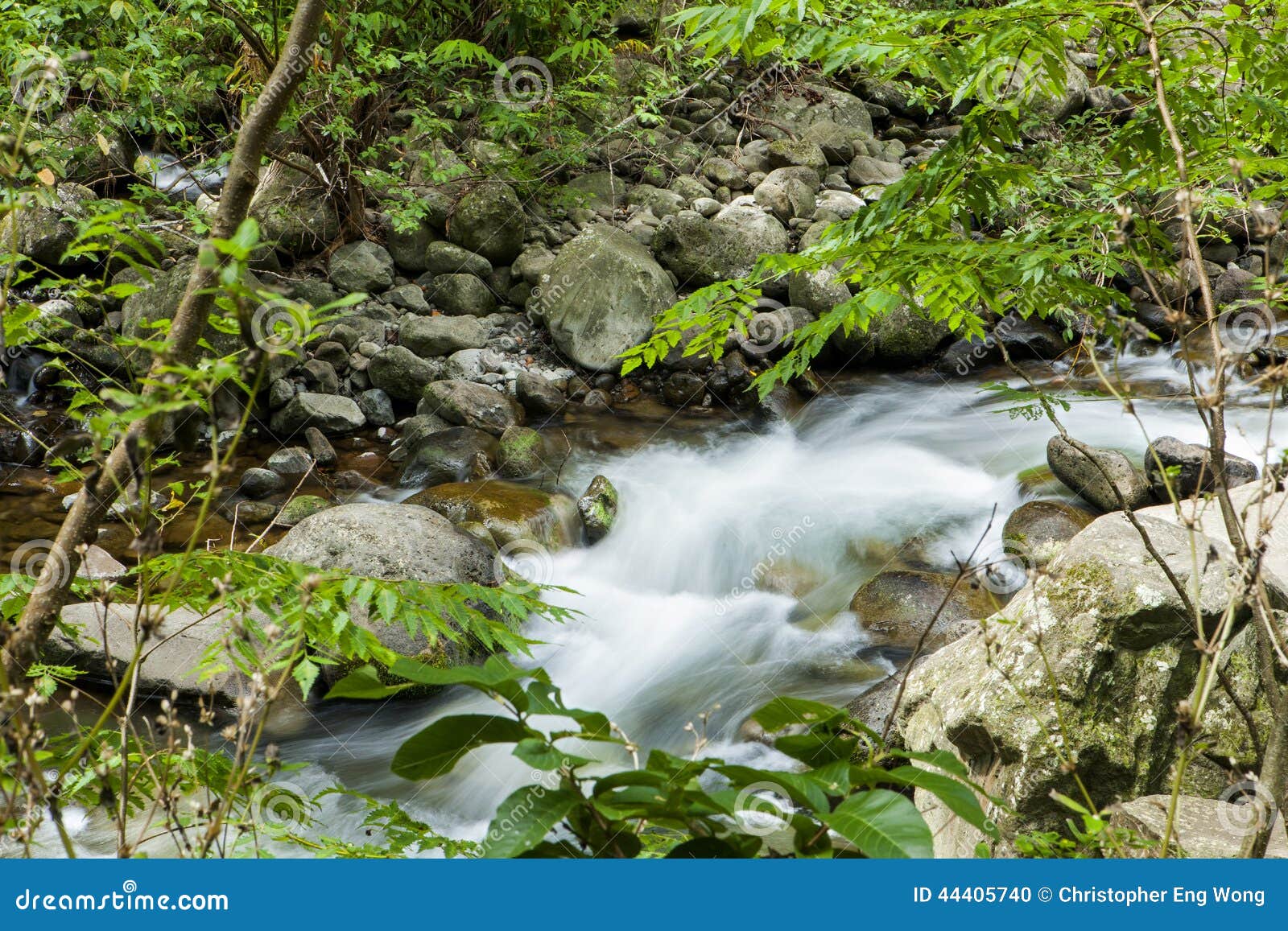 Iao Stream stock photo. Image of valley, nature, hawaii - 44405740