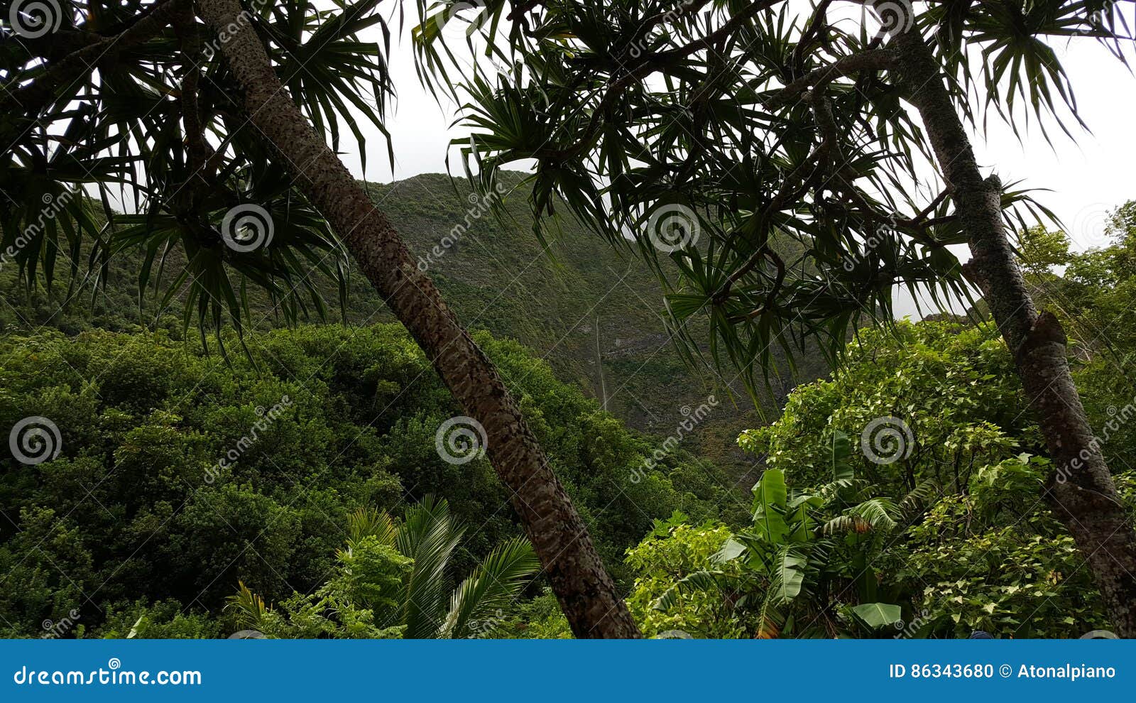 Iao valley maui stock photo. Image of plants, greenery - 86343680