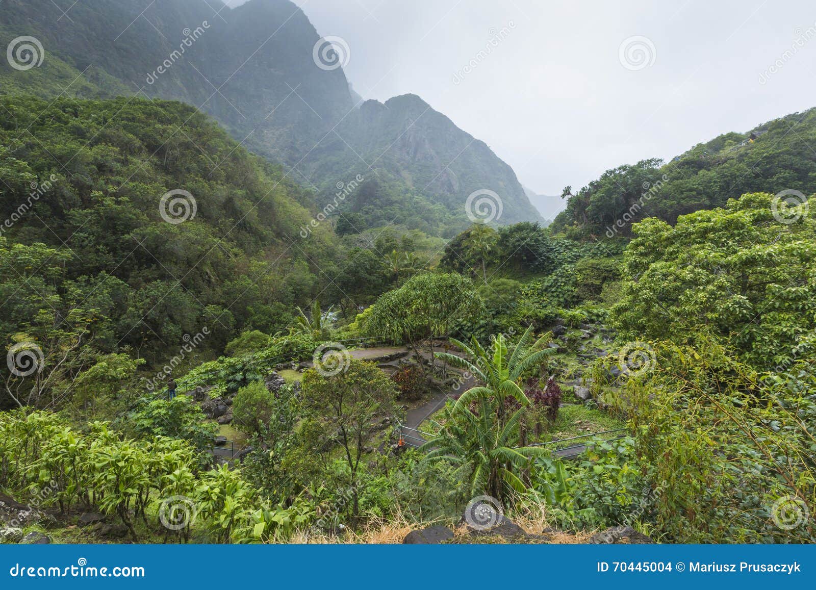 Iao Valley State Park on Maui Hawaii Stock Photo - Image of mount ...