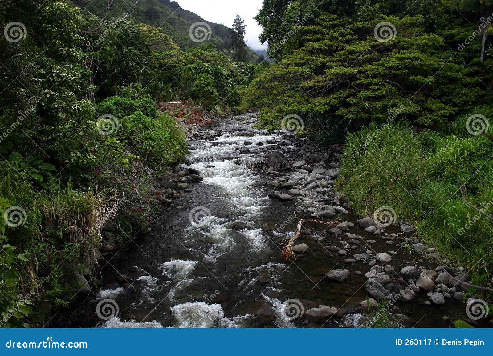 Iao Valley Stream, Hawaii stock image. Image of valley - 263117