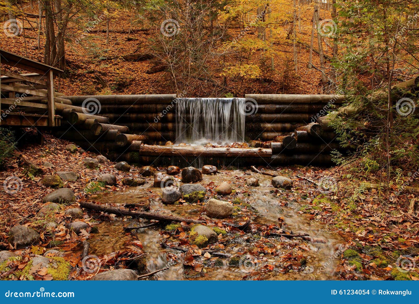 Iargo Springs stock photo. Image of habitat, nature, bluff - 61234054