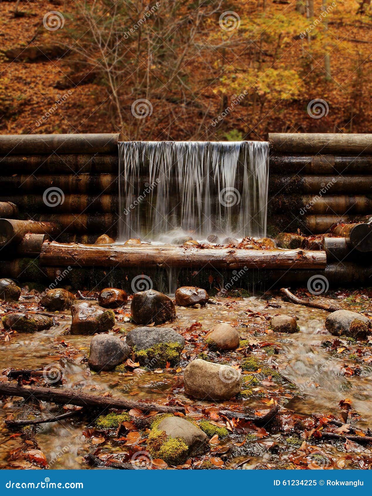 Iargo Springs stock image. Image of beauty, national - 61234225