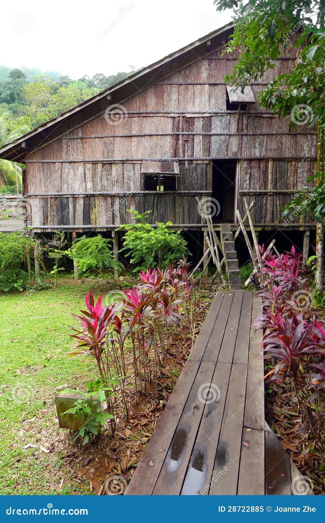 Iban Tribe Longhouse in Sarawak, Borneo Stock Image - Image of ...