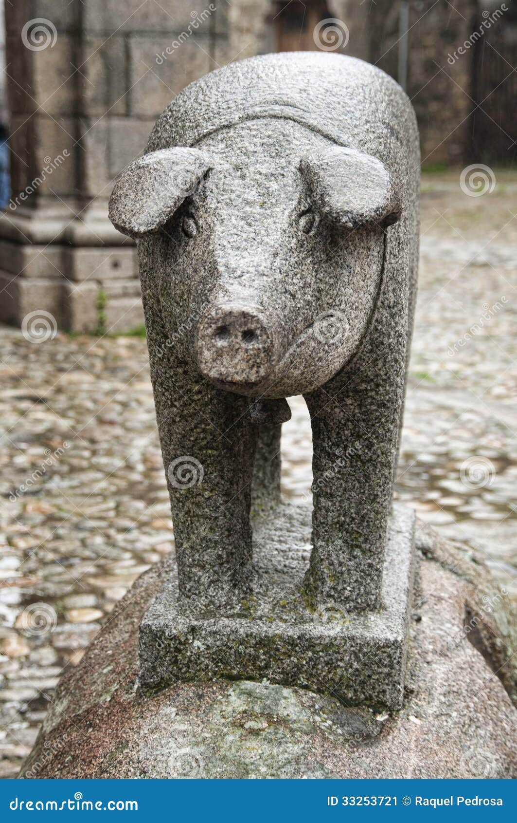 Iberisch varken stock afbeelding. Image of leet, spanje - 33253721