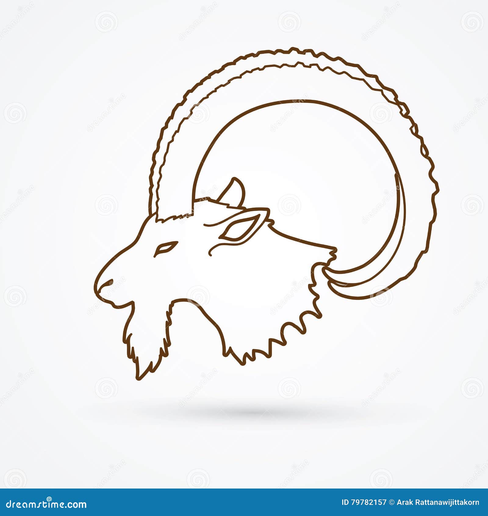 Ibexes Head stock vector. Illustration of isolated, mountain - 79782157