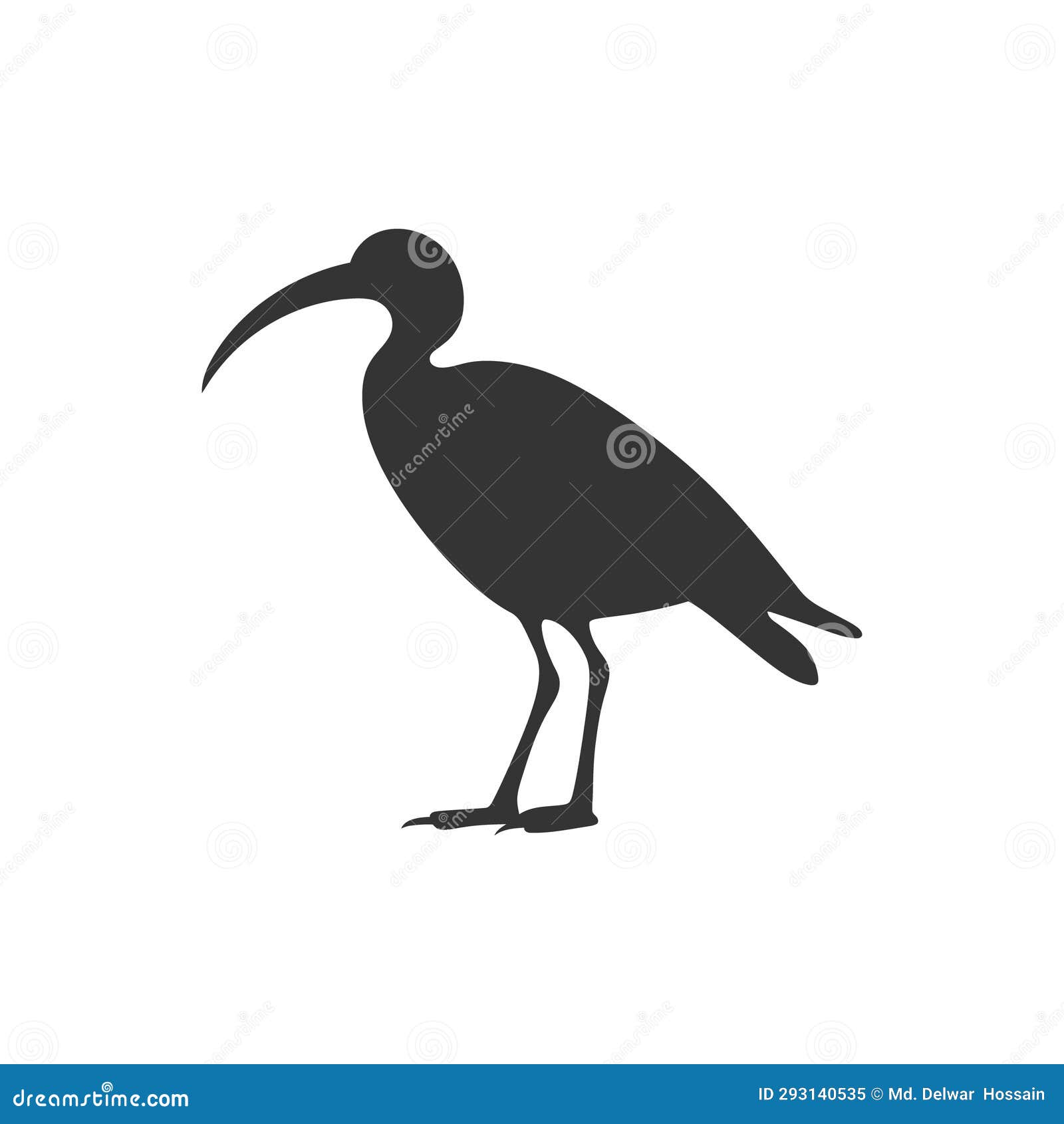 Ibis bird icon stock vector. Illustration of aquatic - 293140535