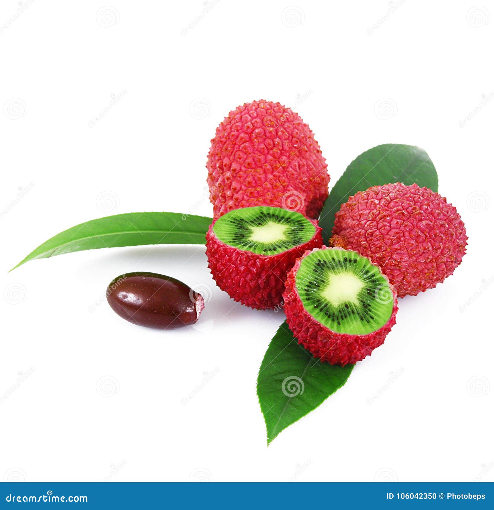 Lycis Stock Photos - Free & Royalty-Free Stock Photos from Dreamstime