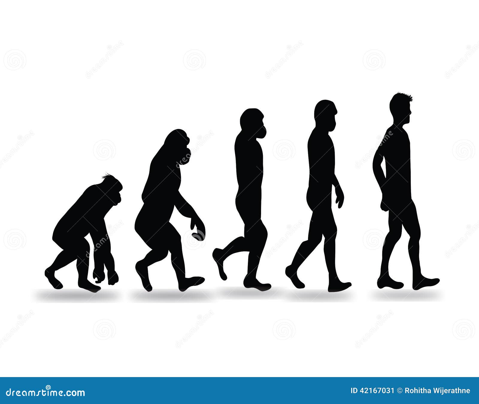 Icône d'évolution humaine illustration stock. Illustration du singe ...