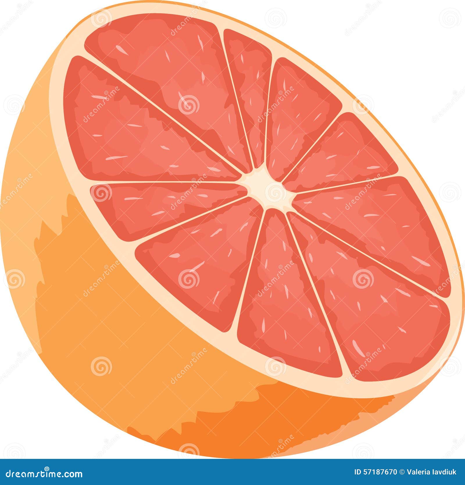 Icône de pamplemousse illustration de vecteur. Illustration du mûr ...