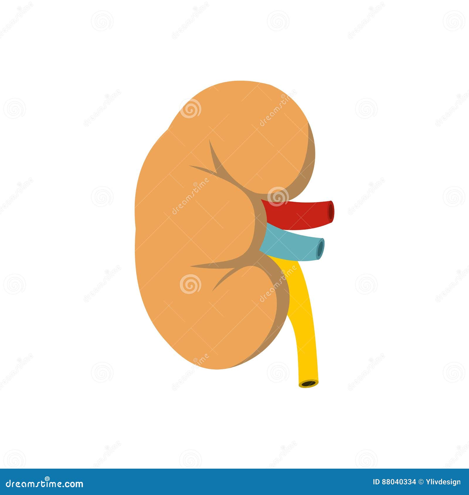 Icône de rein, style plat illustration de vecteur. Illustration du ...