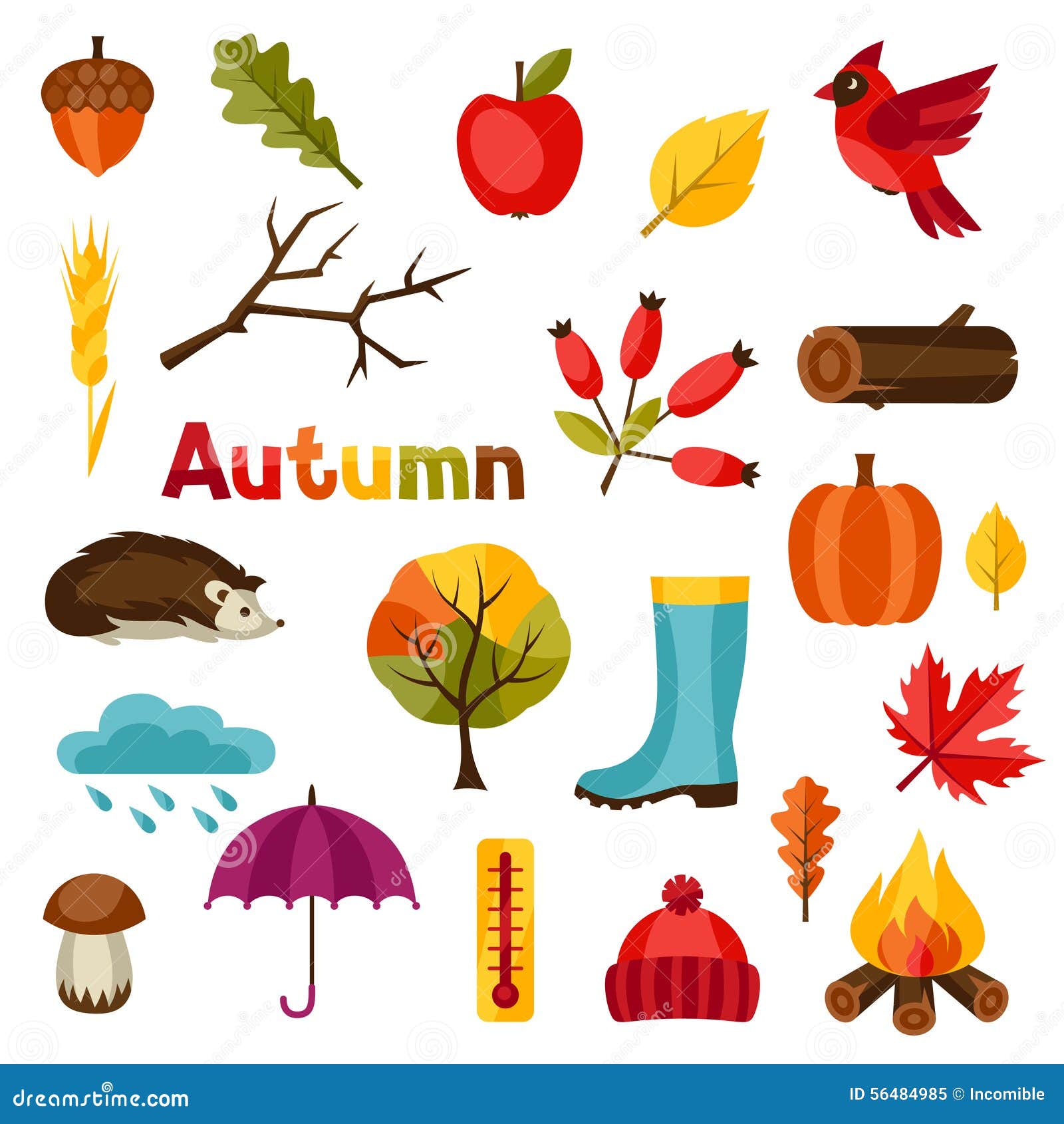 Icône Et Objets D'automne Réglés Pour La Conception Illustration de ...