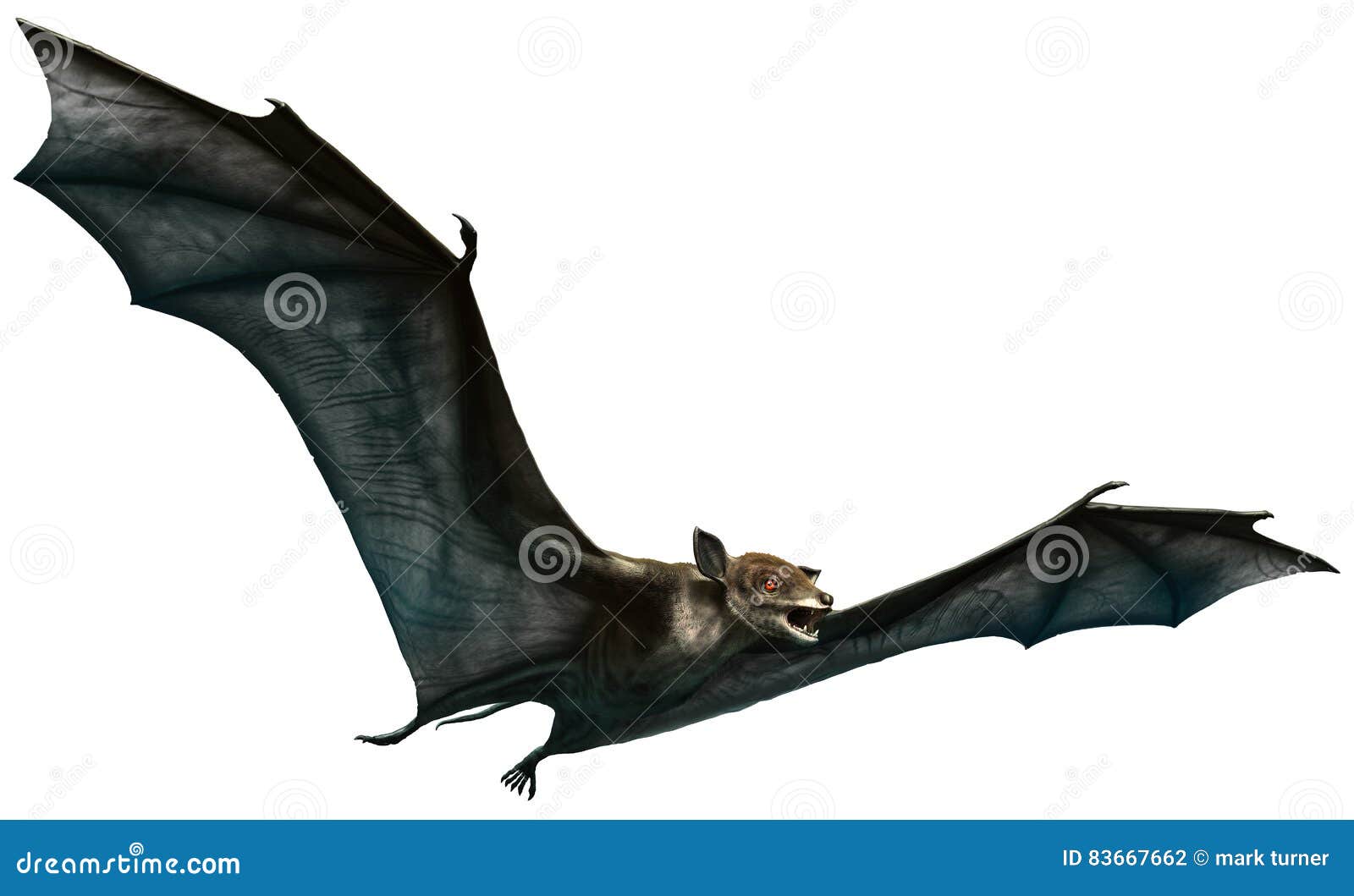 Icaronycteris stock illustration. Illustration of extinct - 83667662