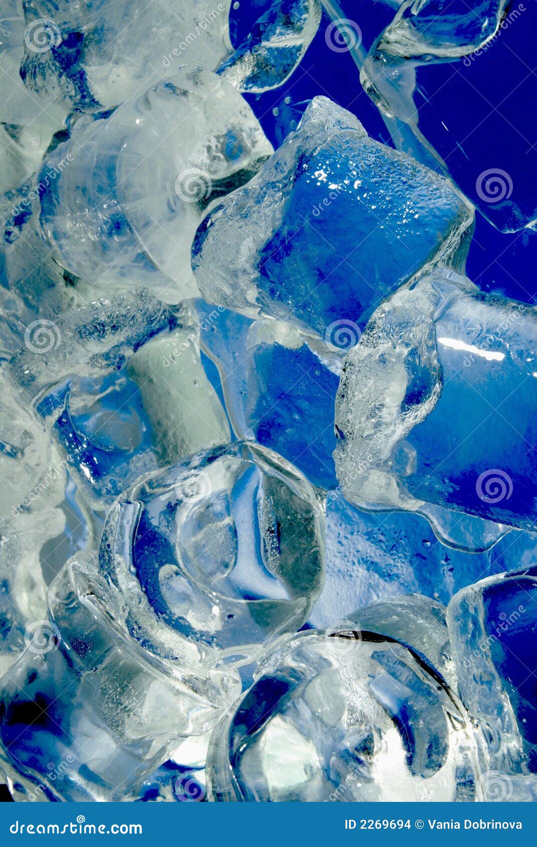 Ice stock photo. Image of freezing, pure, cold, organism - 2269694