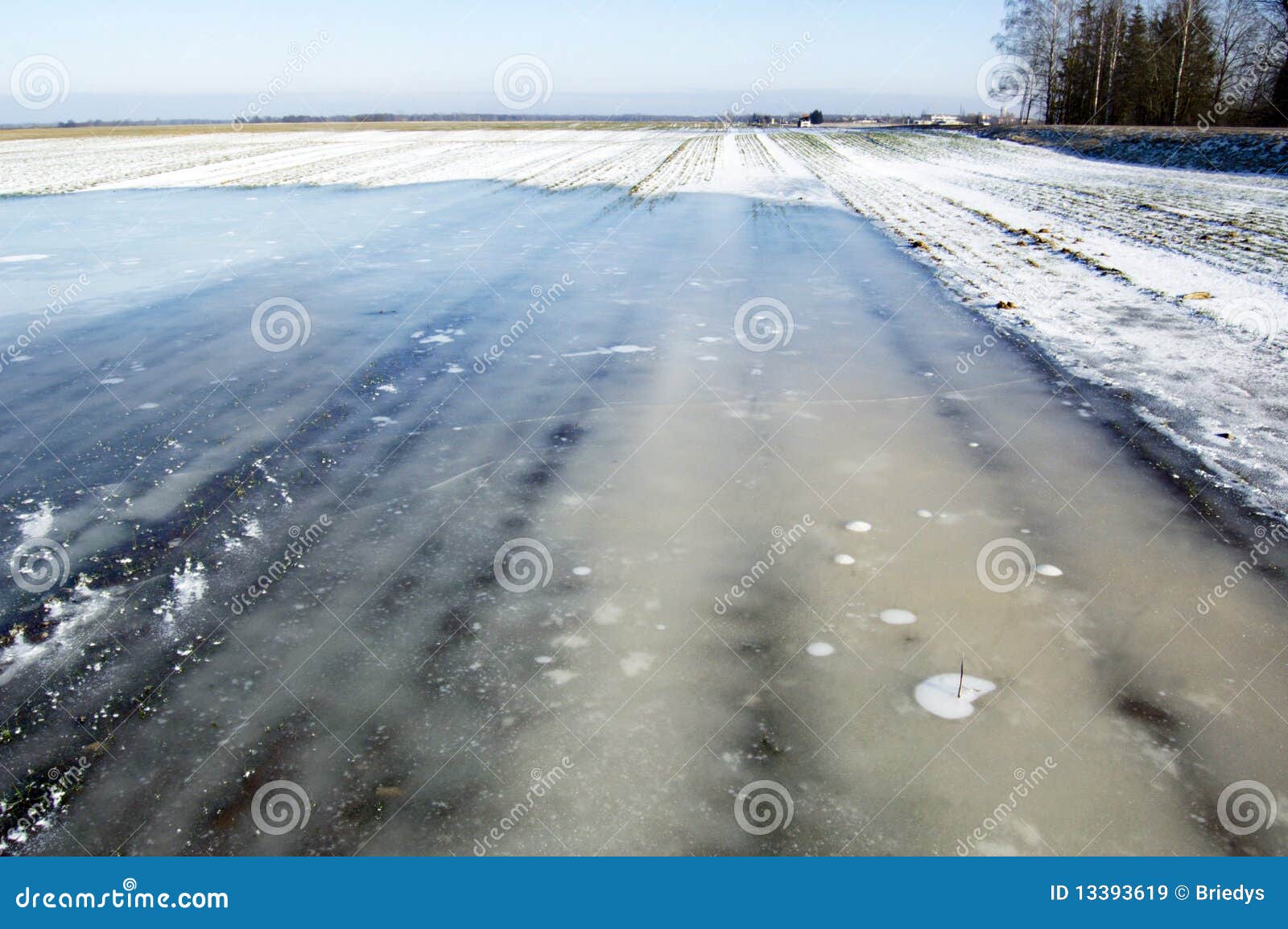 Ice on agricultural field stock image. Image of frozen - 13393619
