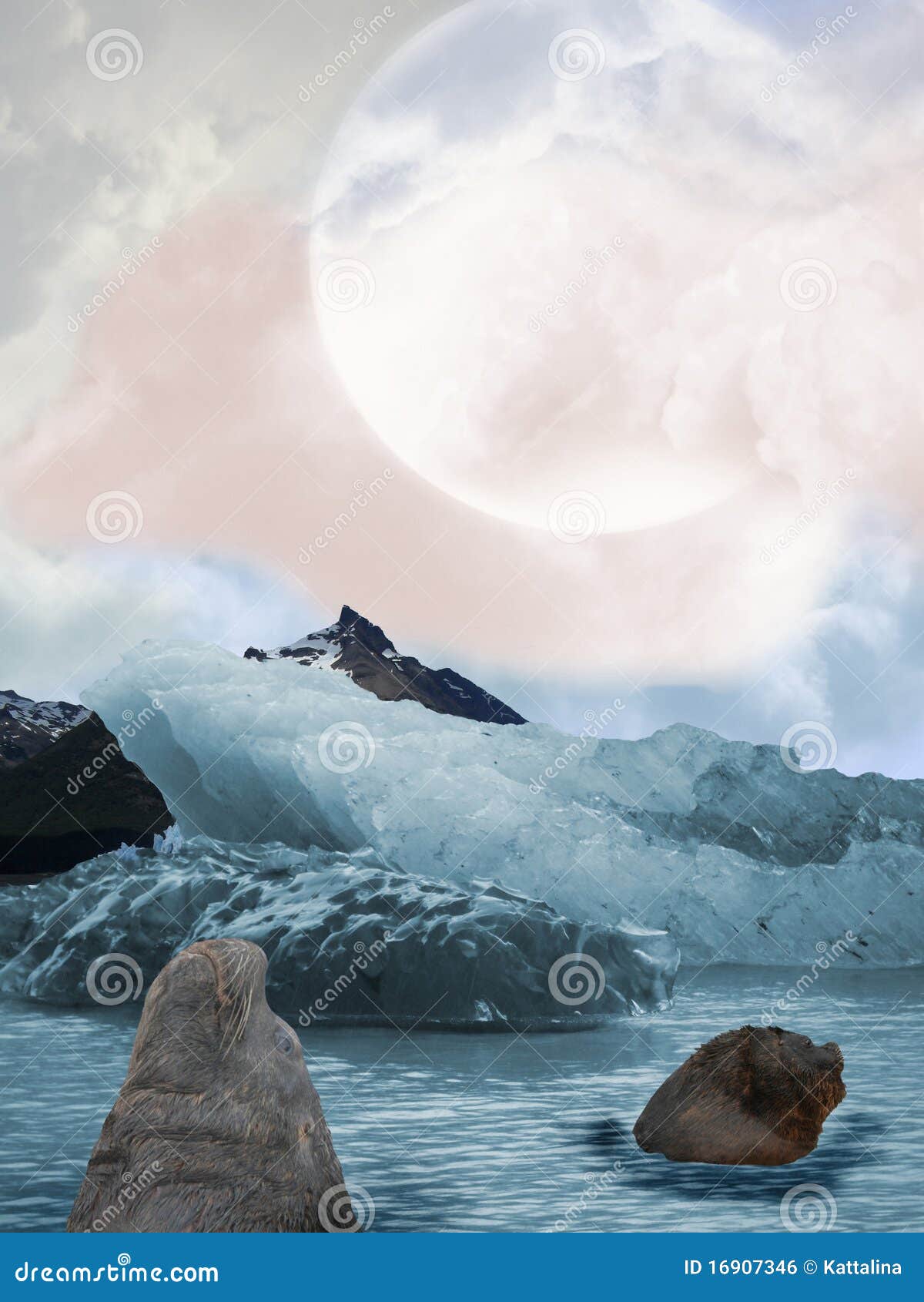 12,140 Arctic One Photos - Free & Royalty-Free Stock Photos from Dreamstime