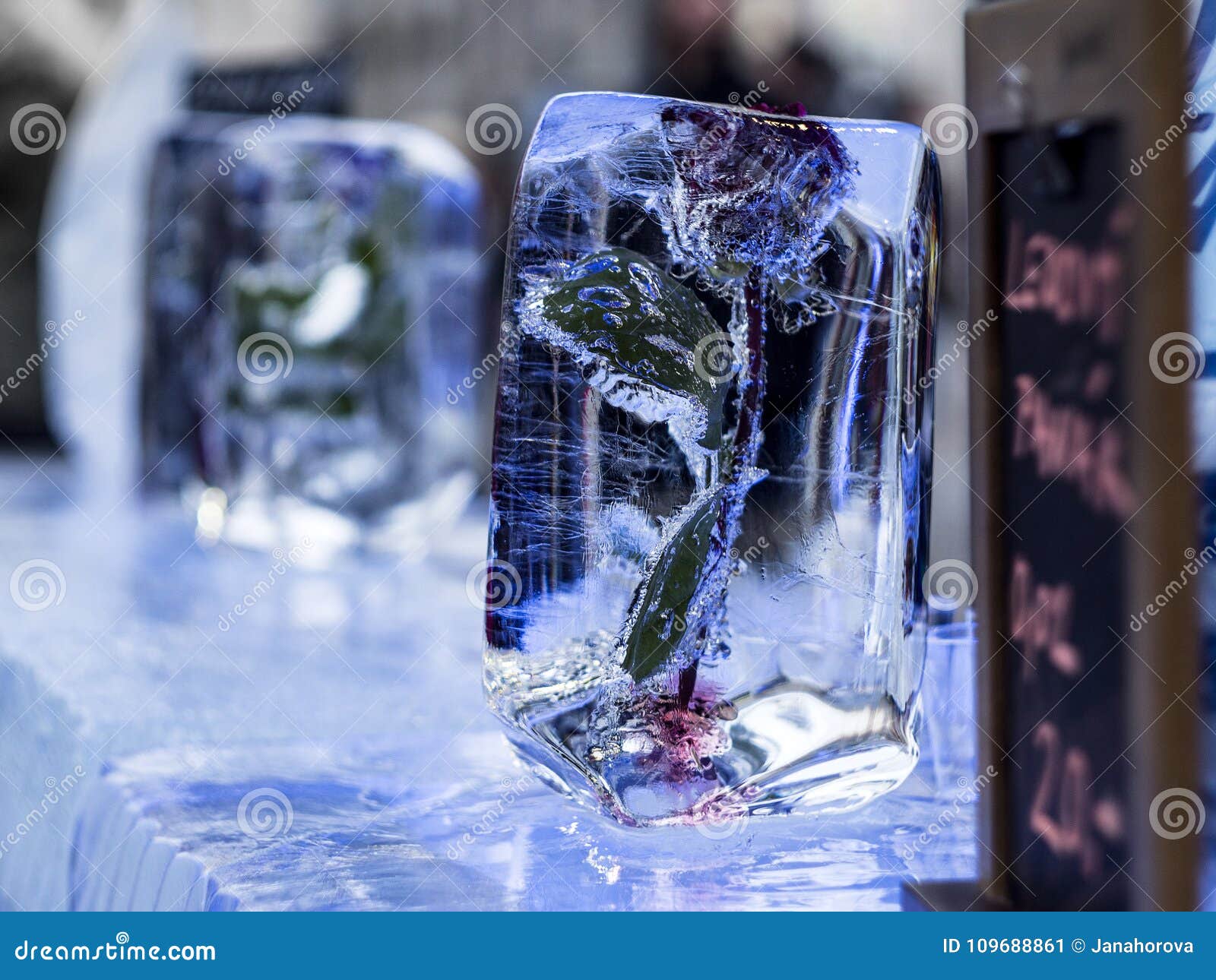 Ice Bar with Frozen Rose in Ice Stock Image - Image of rose, frozen ...