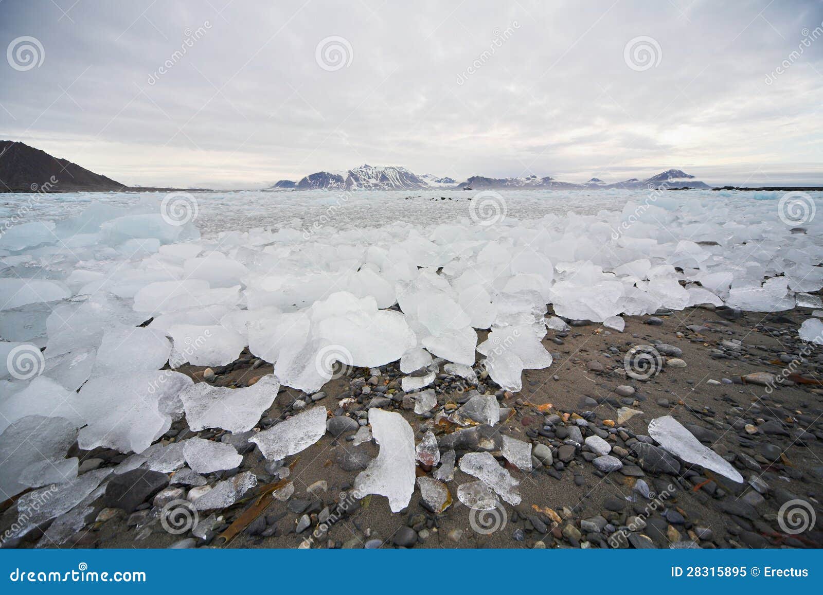 Ice on the Beach - Arctic Landscape Stock Image - Image of svalbard ...