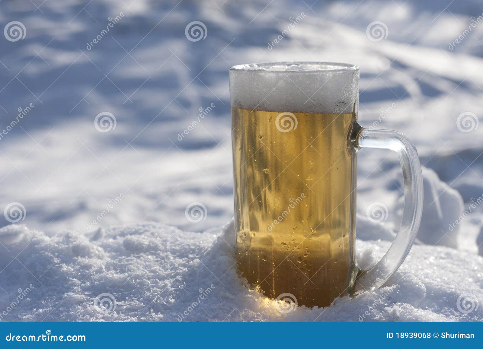 Ice Beer stock photo. Image of cold, winter, drink, alcohol - 18939068