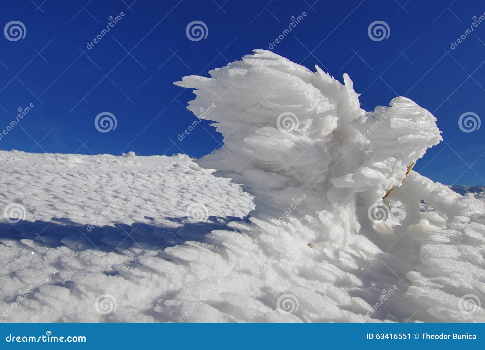 Ice Bird and Snow, at High Altitude. Winter Mountain Landscape - Ciucas ...
