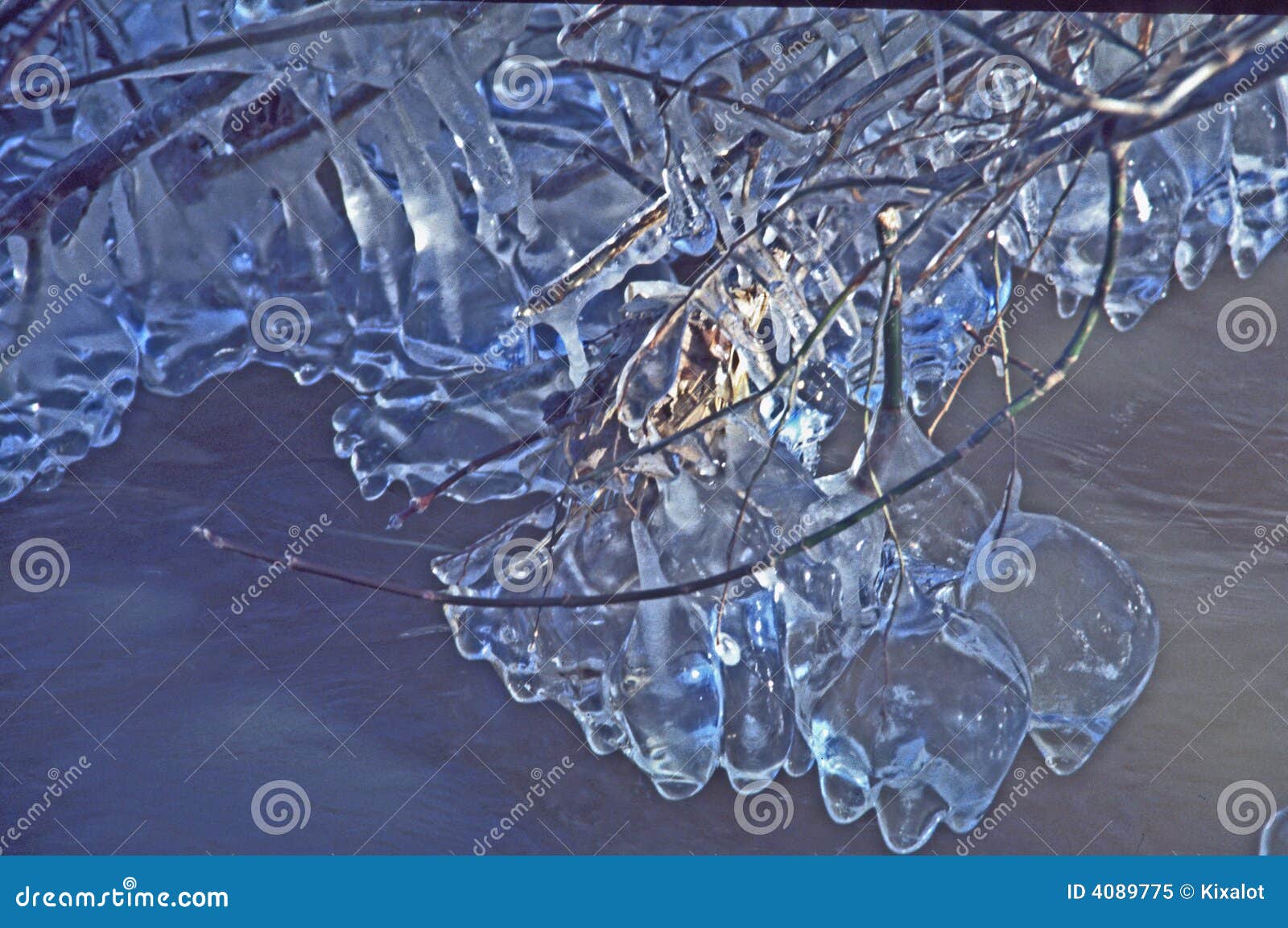 Ice in Bloom stock image. Image of frosty, winter, cool - 4089775