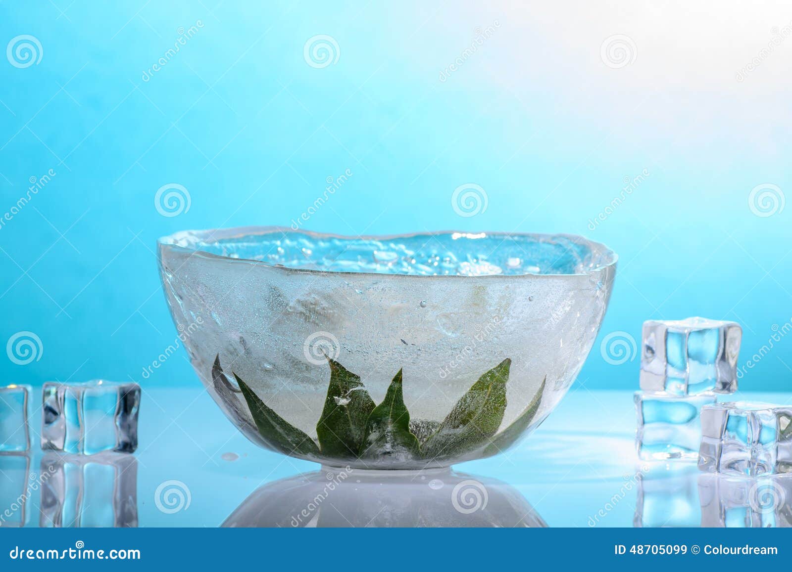 Ice bowl stock image. Image of clear, leaf, cool, leaves - 48705099