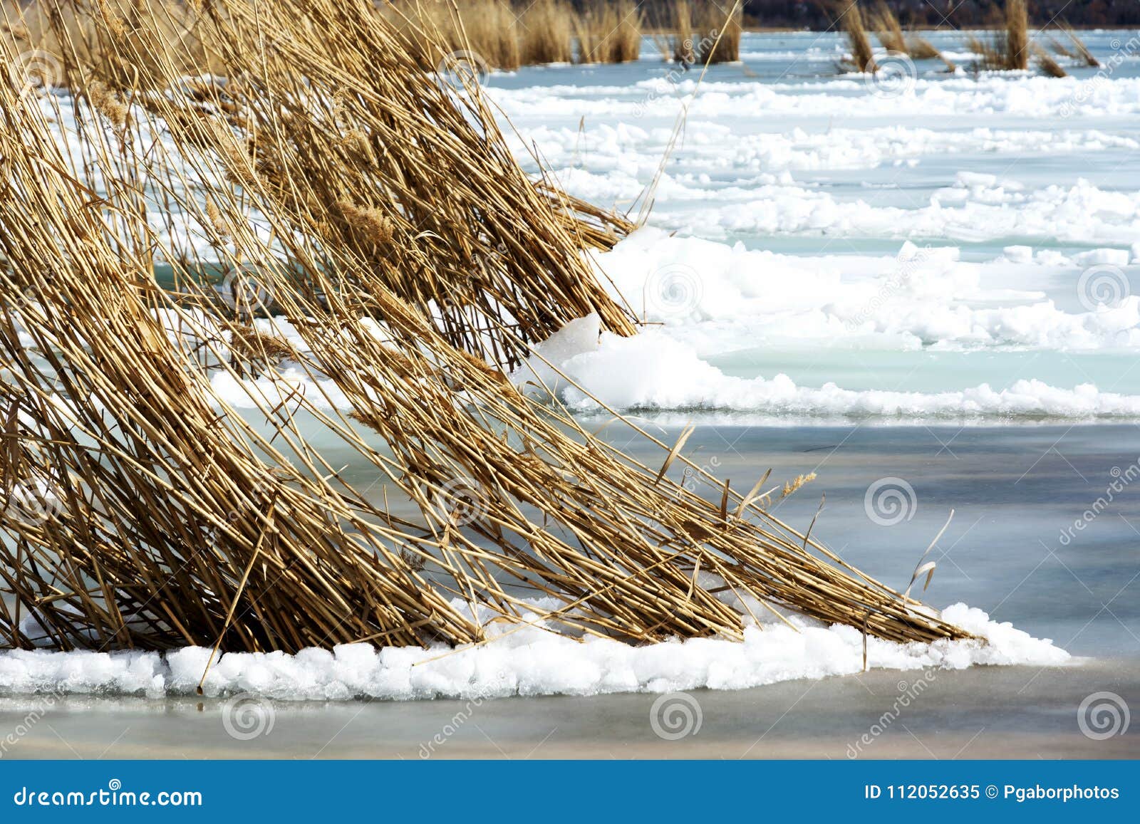 Ice Breaking at Lake Balaton, Hungary Stock Image - Image of frosted ...