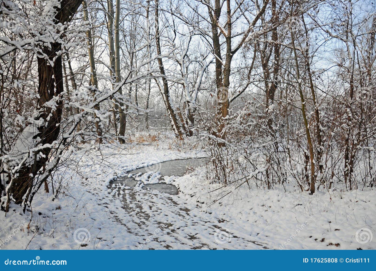 Ice Bridge in Winter Forest Stock Photo - Image of covered, finland ...