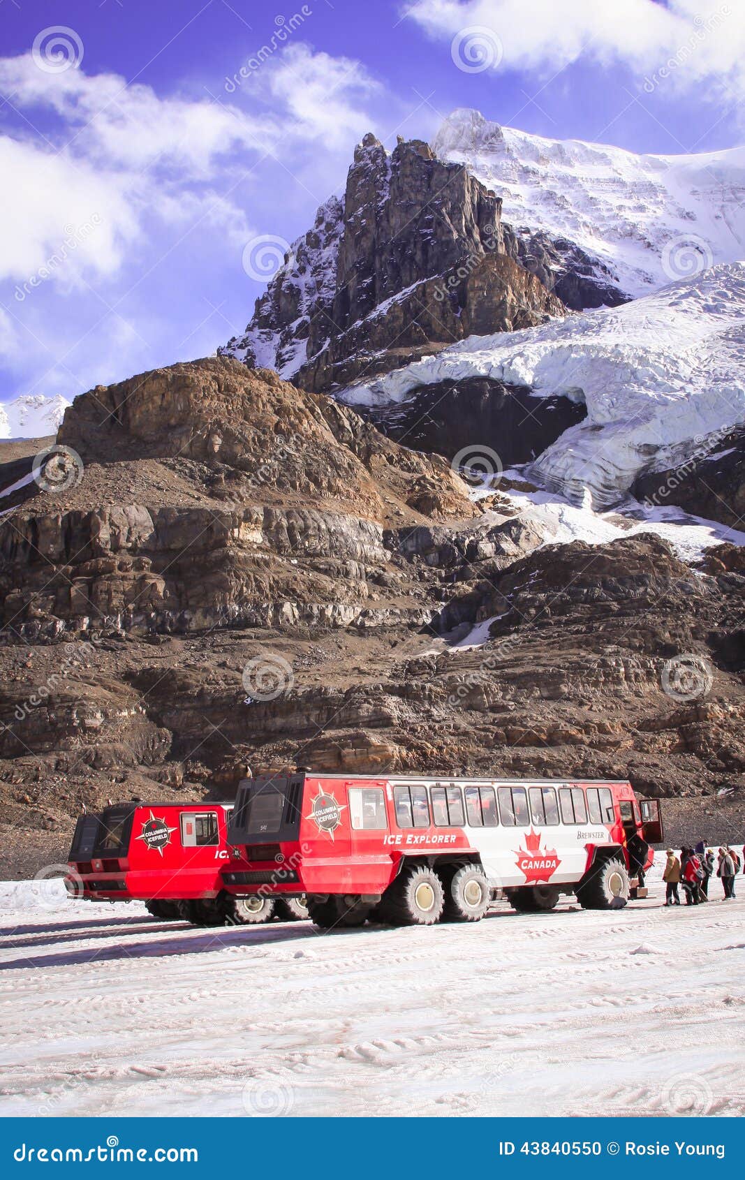 Ice buses editorial image. Image of canadian, centre - 43840550