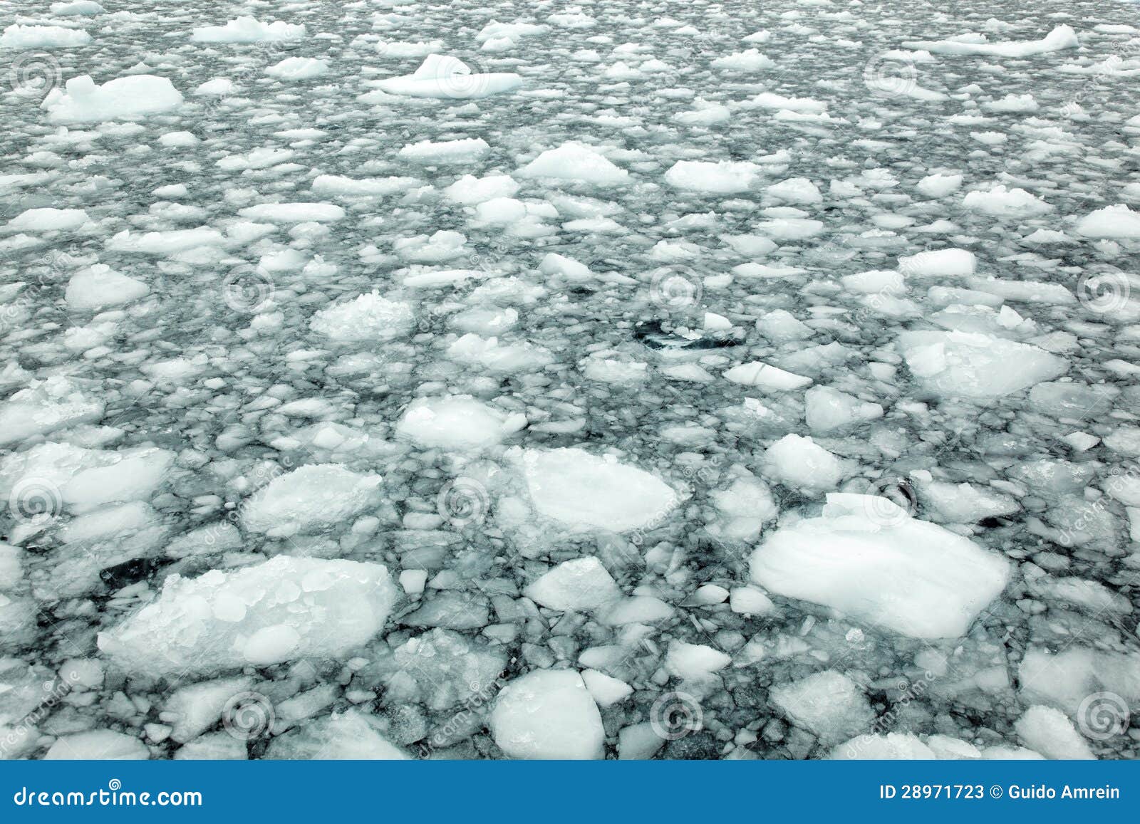 Ice Cakes in Antarctic Water Stock Image - Image of natural, nature ...