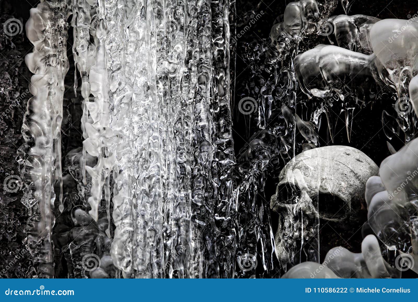 Skull in ice cave stock photo. Image of white, winter - 110586222