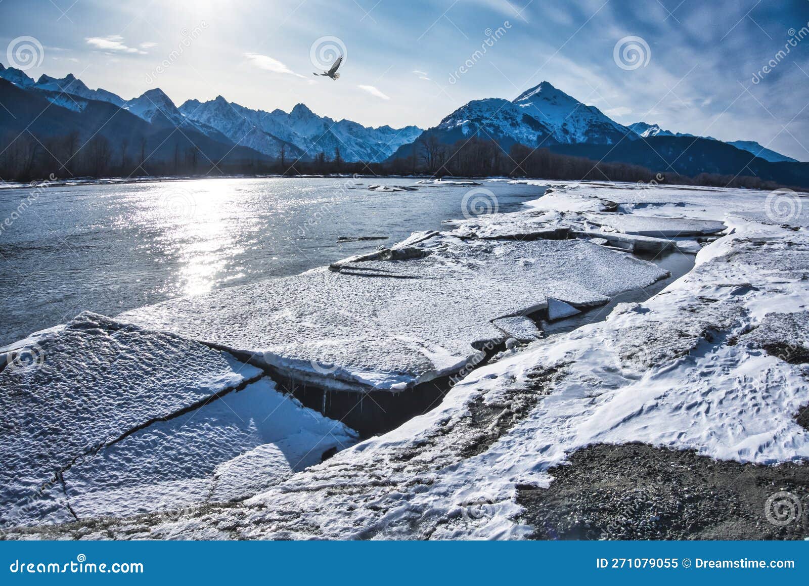 Ice on the Chilkat River stock image. Image of snow - 271079055