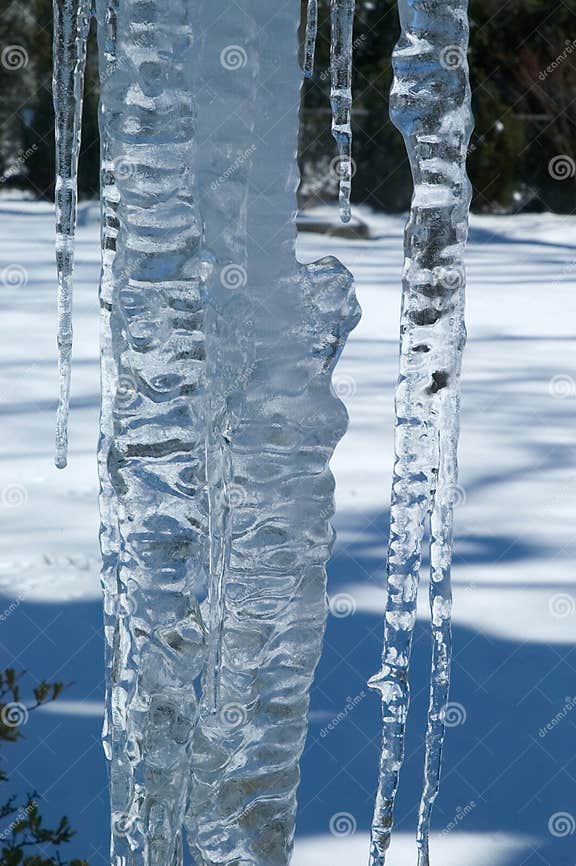 Ice Cicle stock photo. Image of cold, season, winter, freeze - 82666