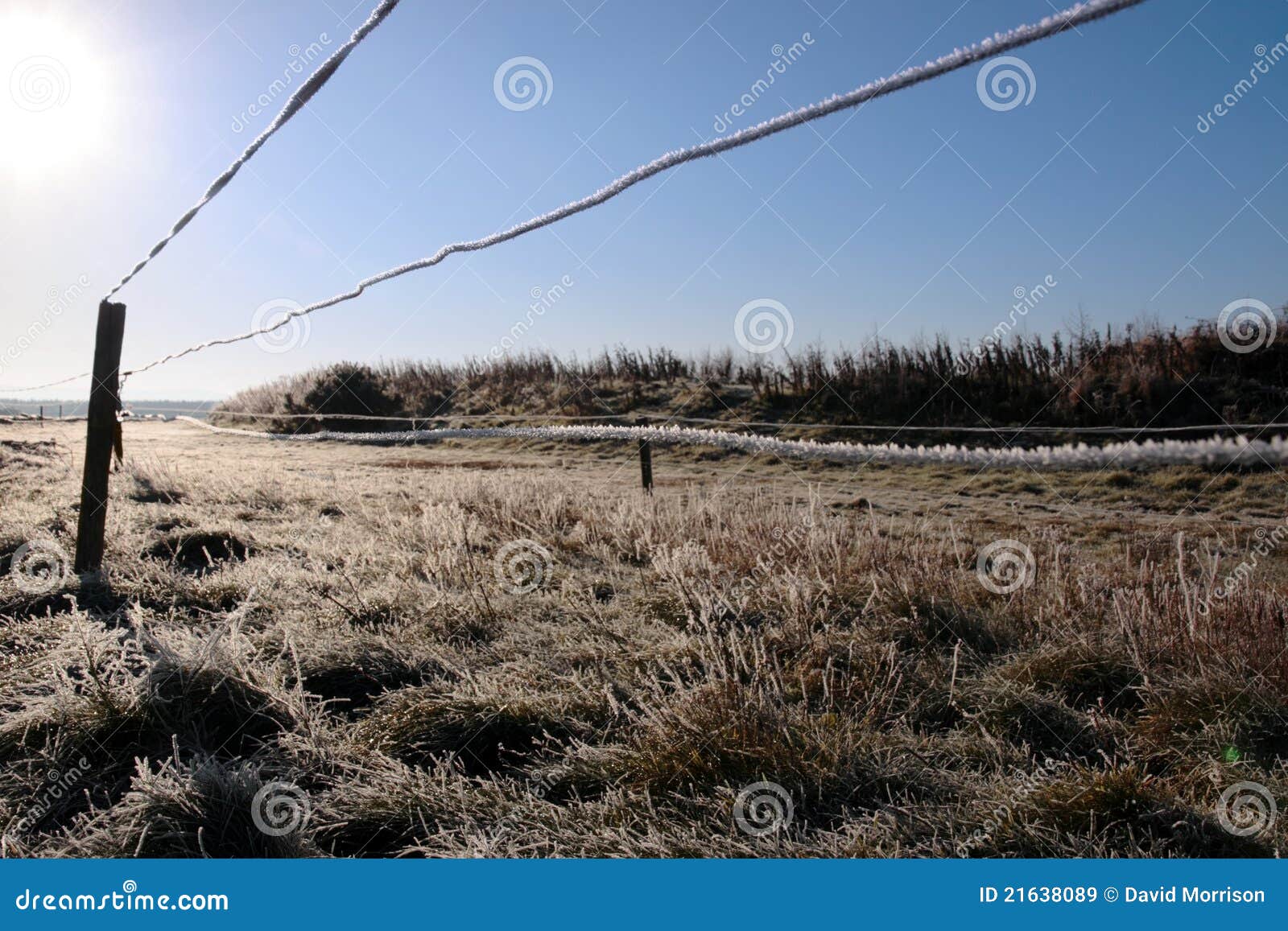 Ice Coated Wire Fence in a Farm Field Stock Image - Image of christmas ...