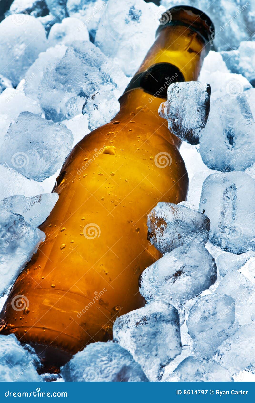 Ice Cold Beer stock image. Image of drink, background - 8614797